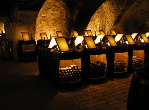 Small Carpathians tour with wine tasting